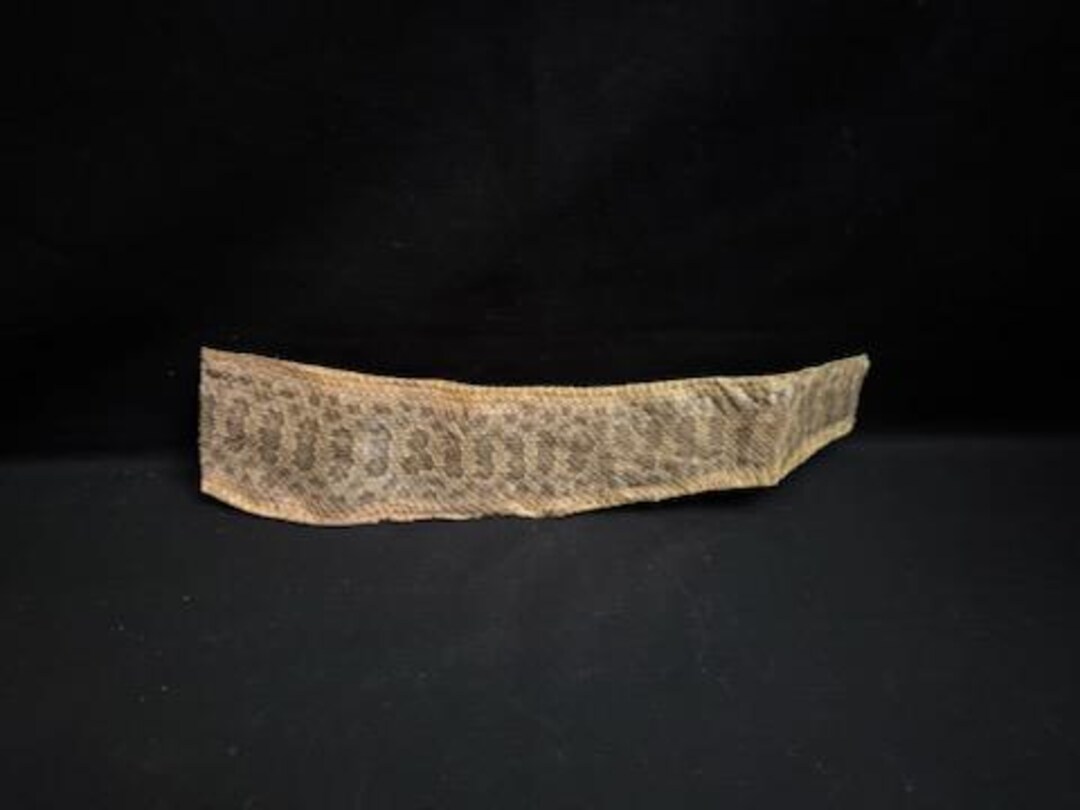 Real Snake Skin - Etsy