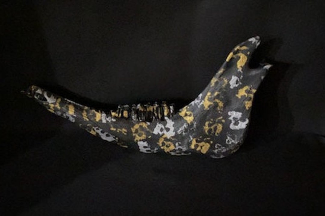 Real Painted Cow Jaw Bone - Etsy