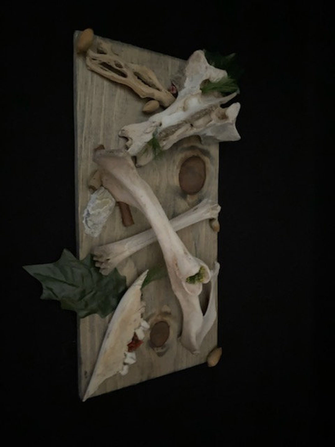 Real Ram Bones on Plaque! - Etsy