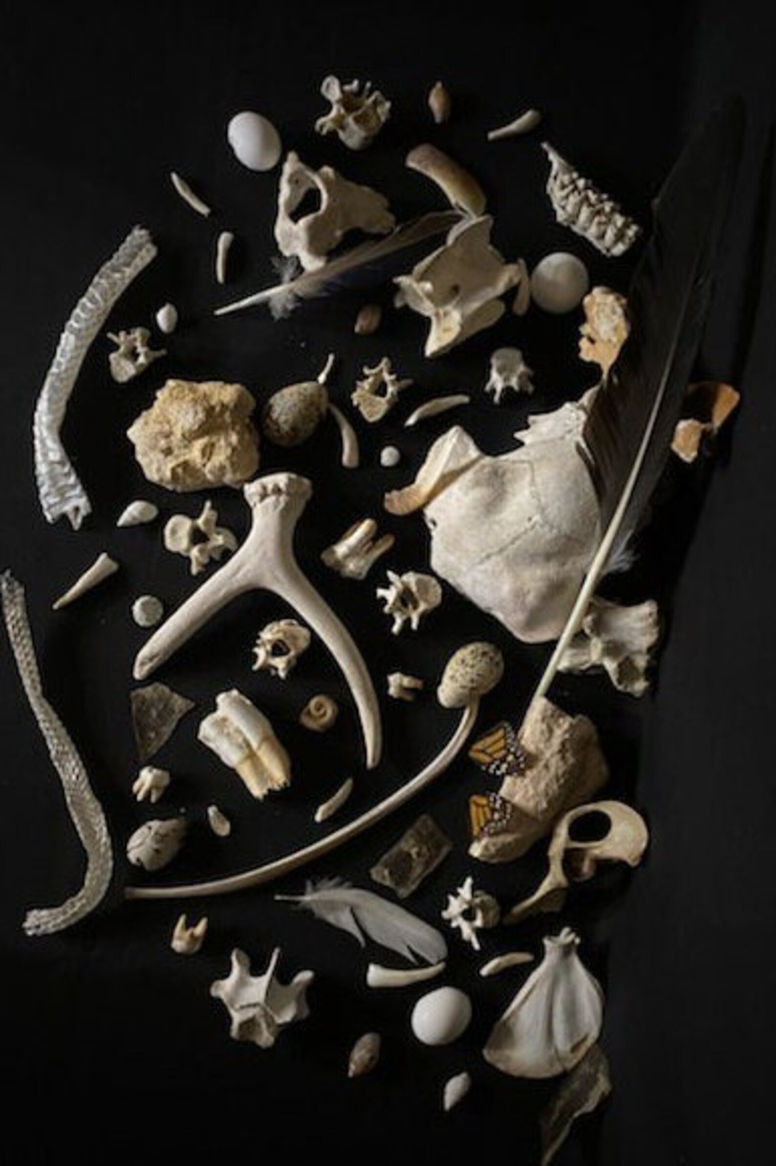 Small Oddities Mystery Box - Etsy