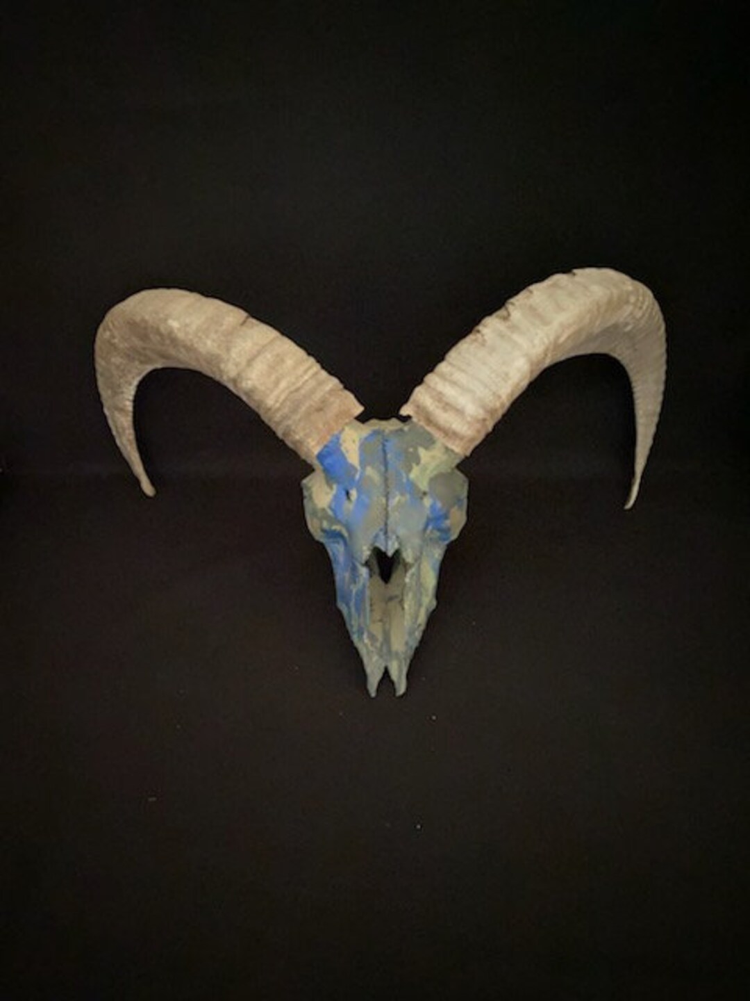 Real Painted Ram Skull - Etsy