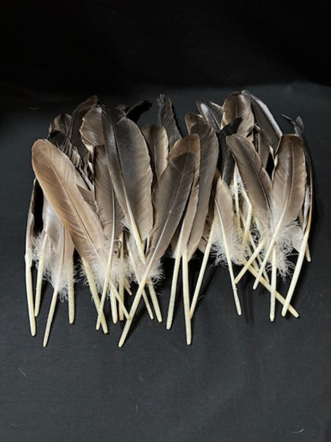 Real Minnesota Geese Feathers - Etsy