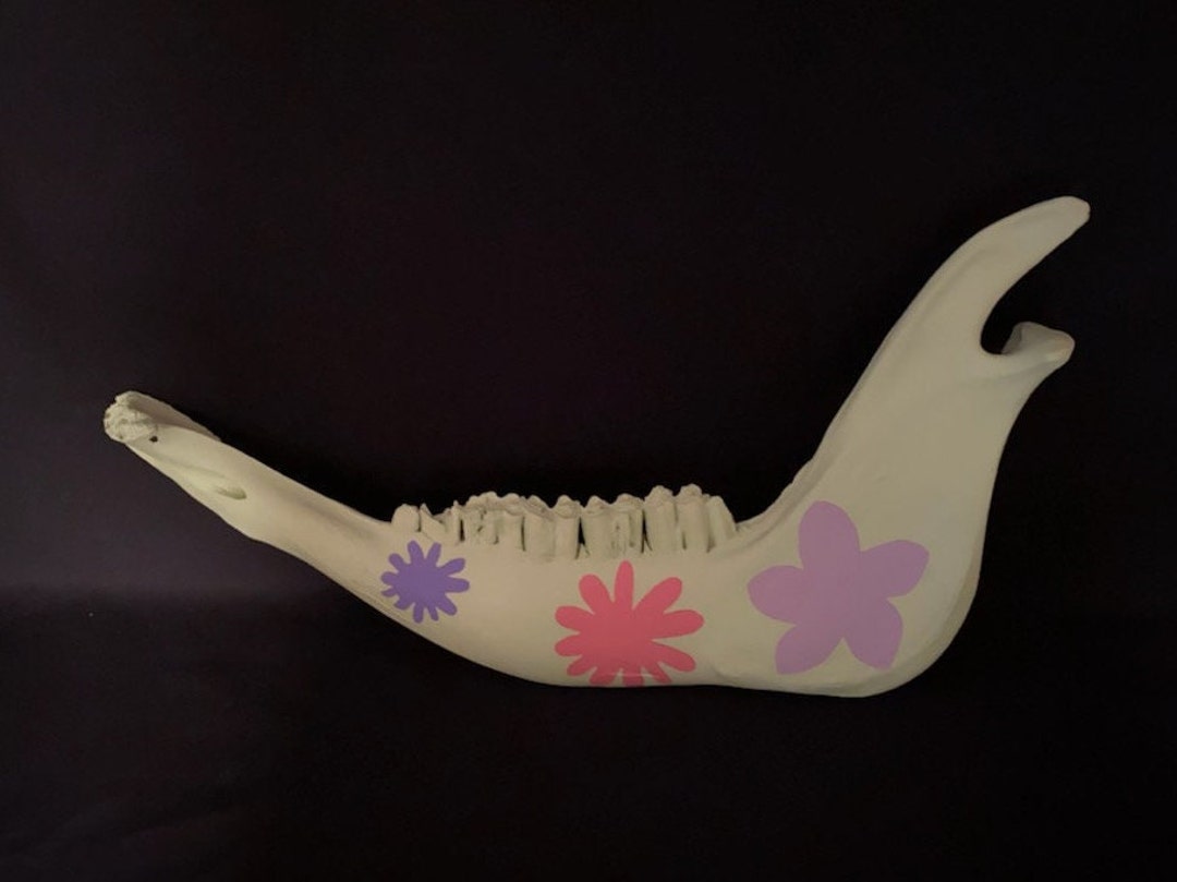 Painted Cow Jaw Bone - Etsy