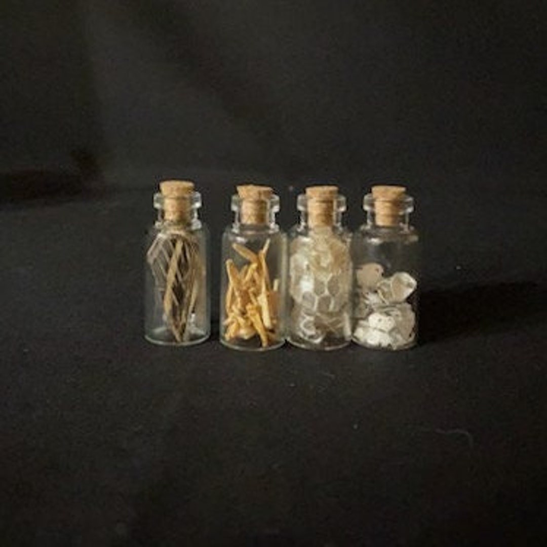 Set of 4 Beautiful Oddity Jars - Etsy