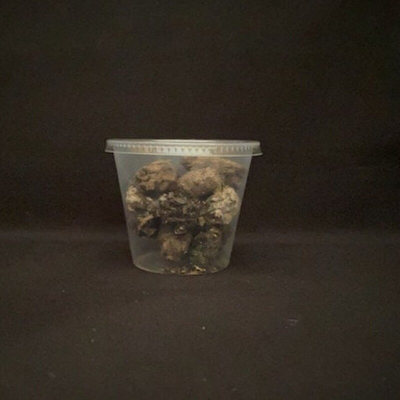 Real Poop - Etsy