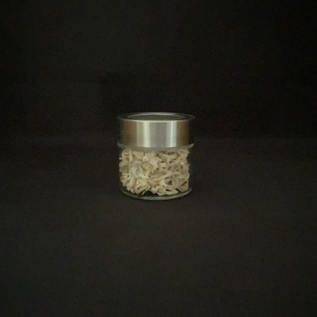 Real Small Bones in Jar! - Etsy