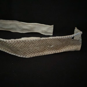 Real Rat Snake Skin 42 Inches Long - Etsy