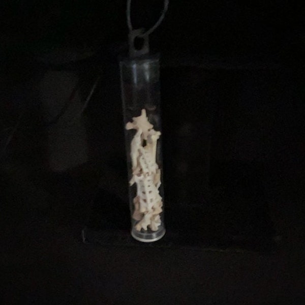 Rat Bones - Etsy
