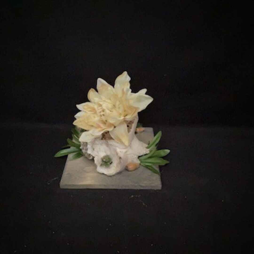 Real Skull Plate Art - Etsy