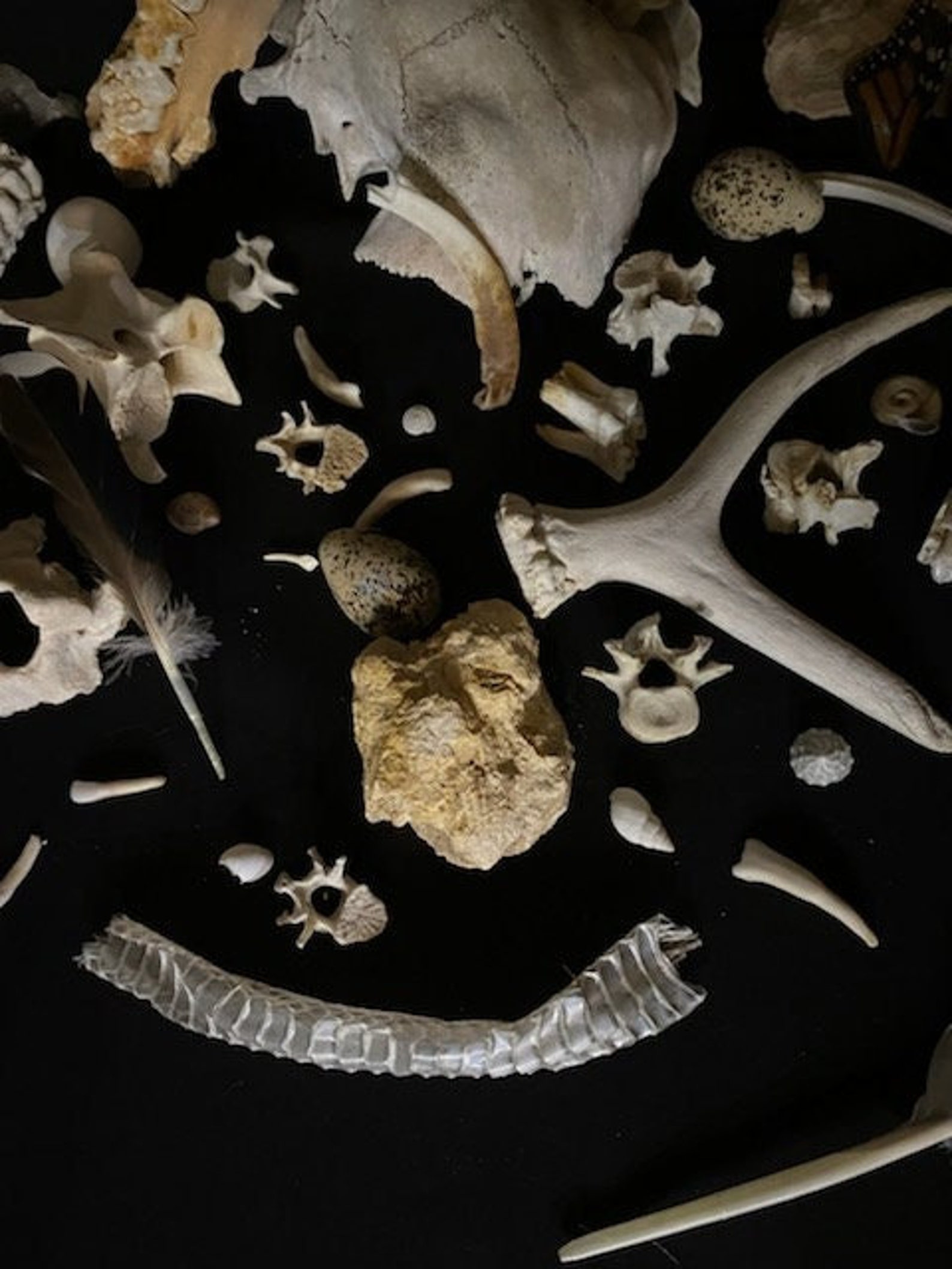 Small Oddities Mystery Box - Etsy