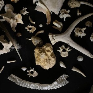 Small Oddities Mystery Box - Etsy