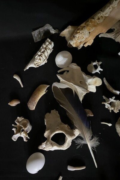 Small Oddities Mystery Box - Etsy