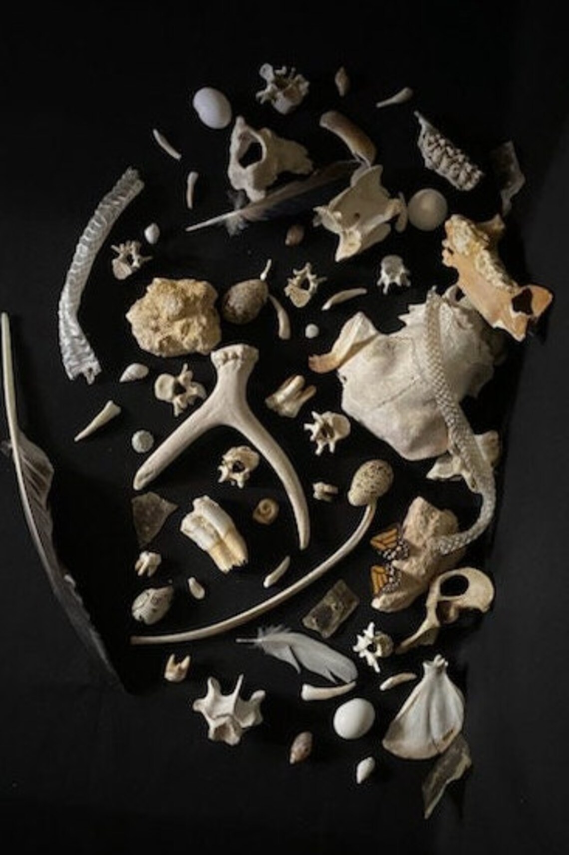 Small Oddities Mystery Box - Etsy