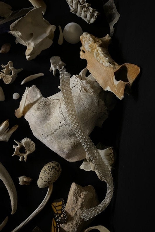 Small Oddities Mystery Box - Etsy