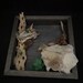 Real Oddity Shadow Box - Etsy