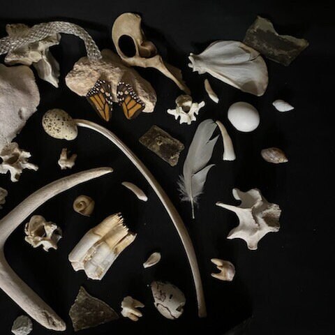 Small Oddities Mystery Box - Etsy