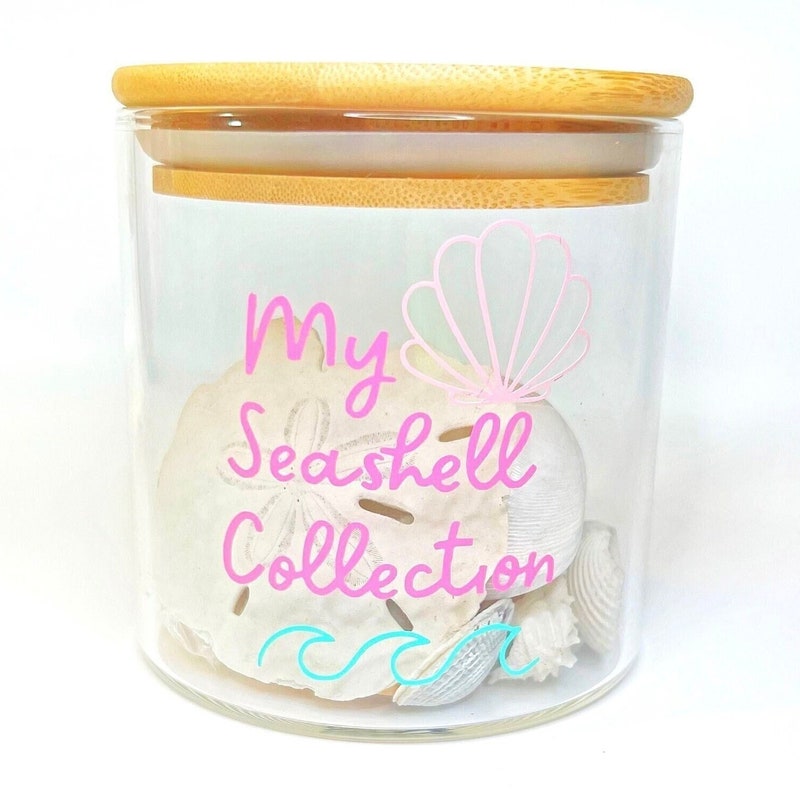 Shell Container - Etsy