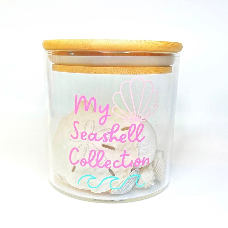 Seashell Display Box - Etsy