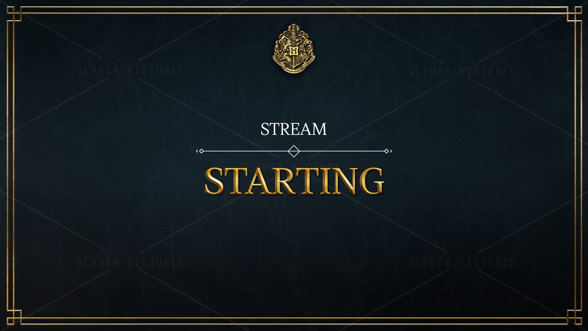 Animated Stream Pack / Stream Package / Overlays / Twitch Assets ...