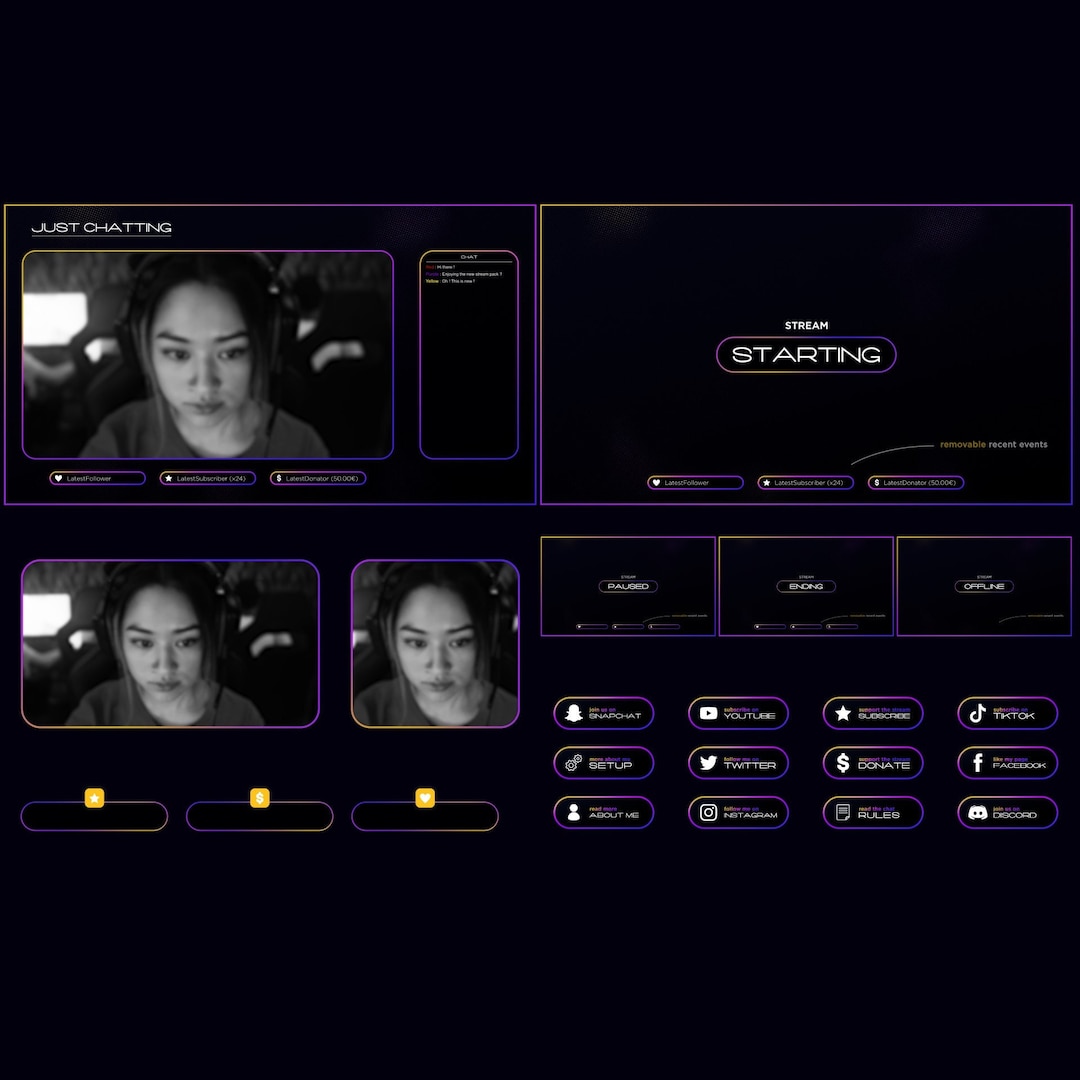 Animated Overlays / Stream Pack / Twitch Assets / Stream Package "neo ...