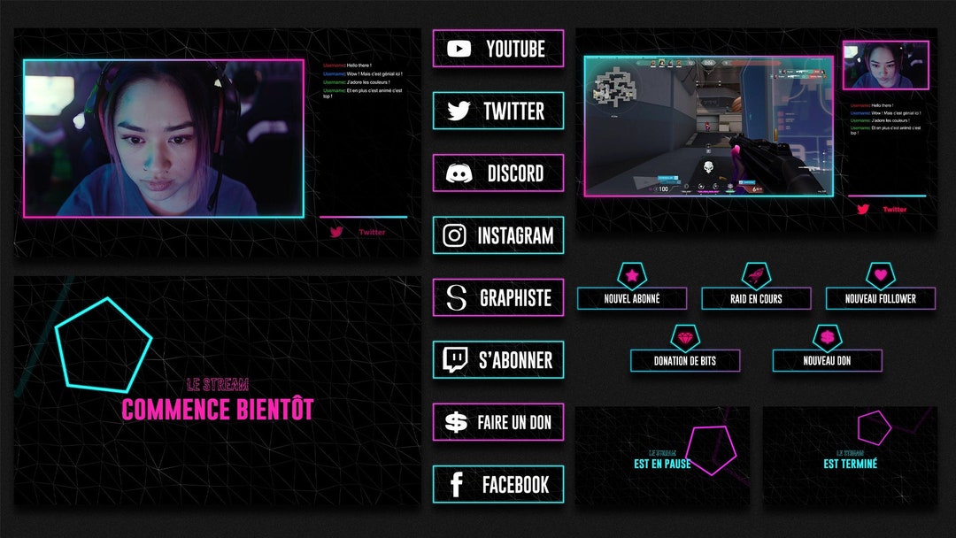 Stream Pack / Animated Stream Package / Overlays / Twitch Assets ...