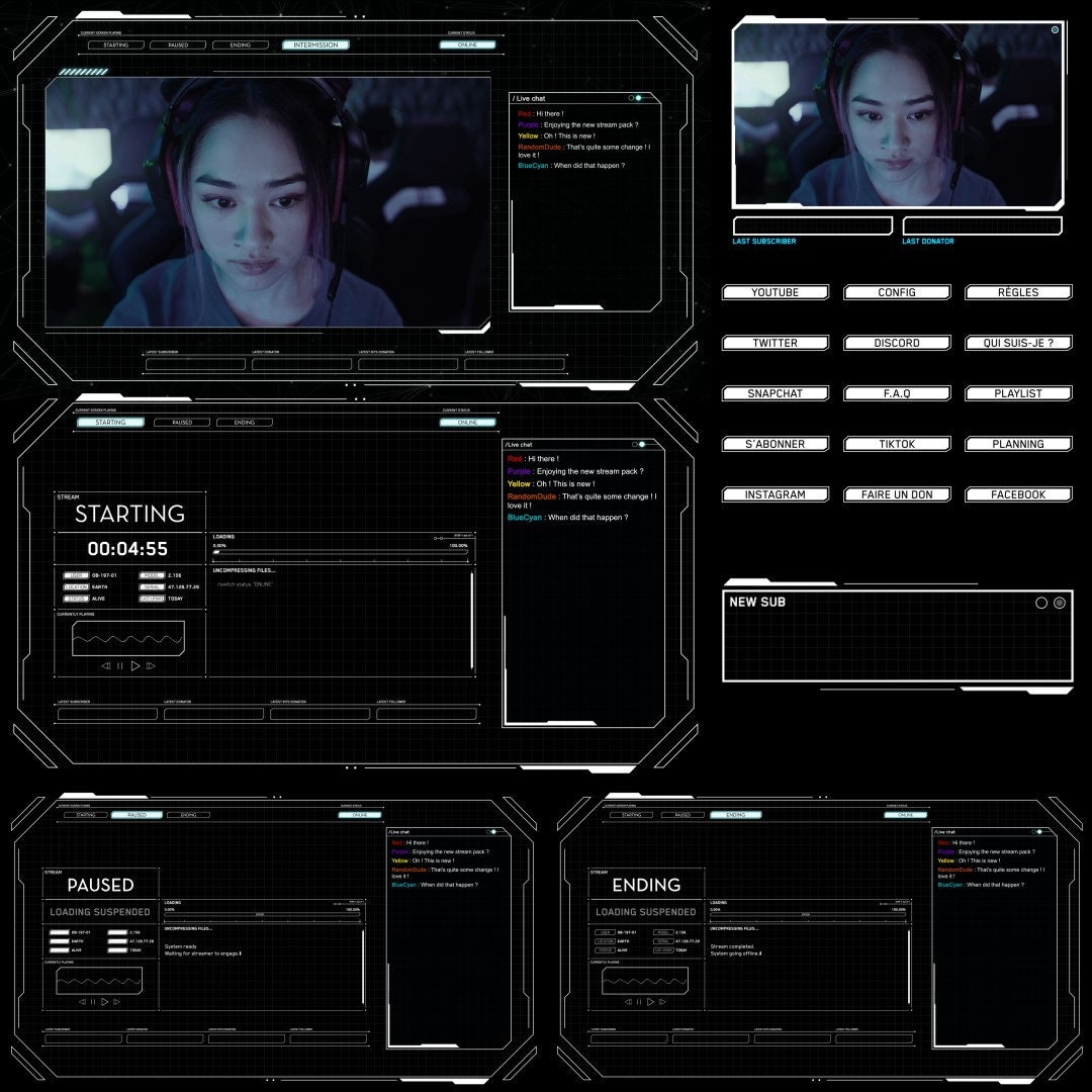Animated Stream Pack / Stream Package / Overlays / Twitch Assets ...