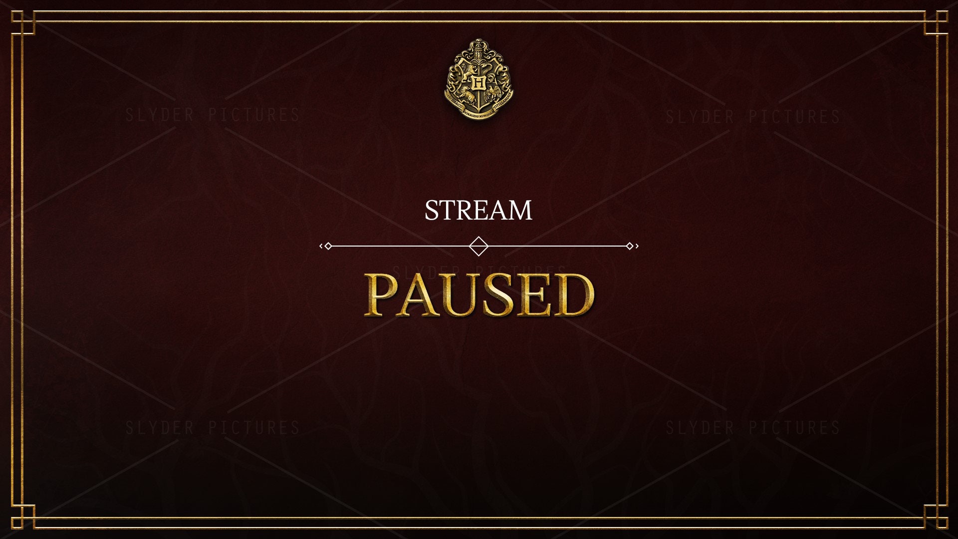 Animated Stream Pack / Stream Package / Overlays / Twitch Assets ...