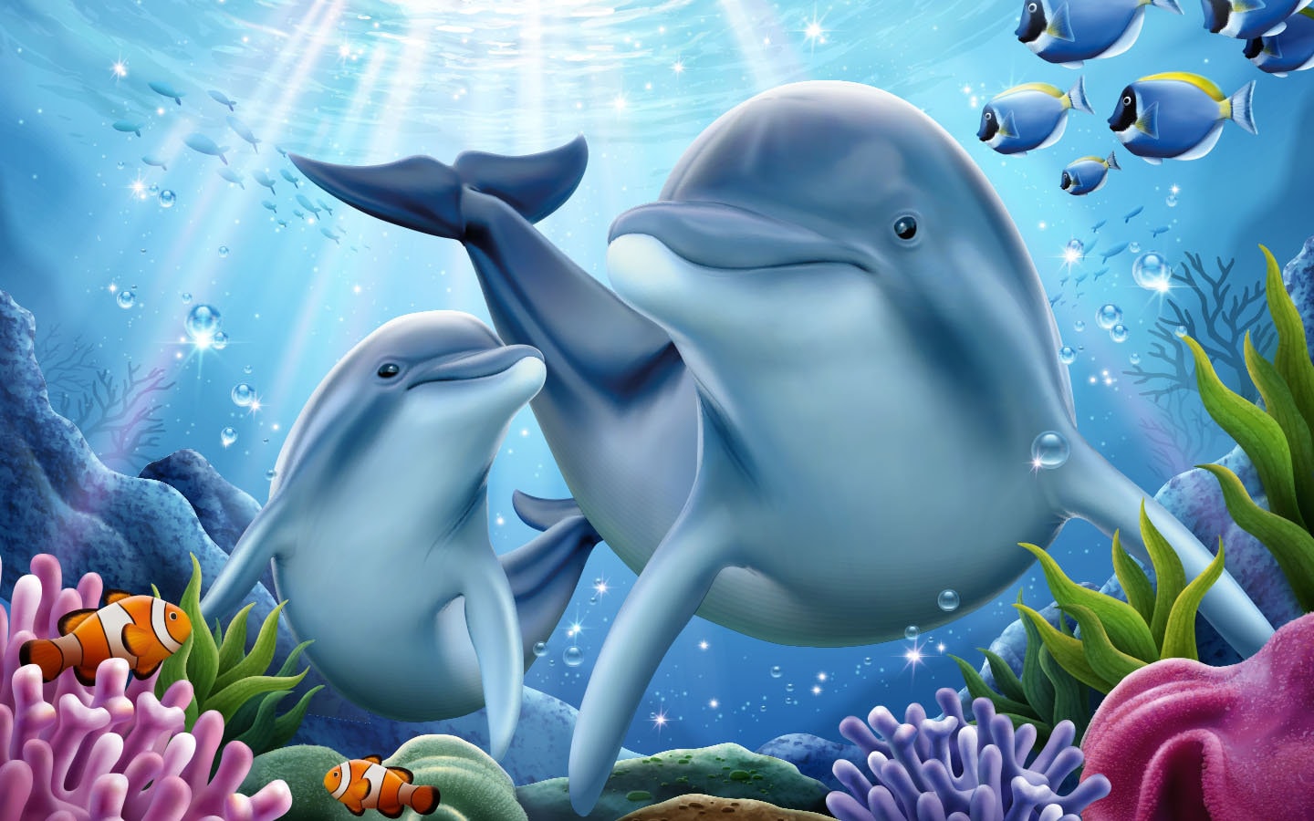 Dolphin Screensavers And Backgrounds