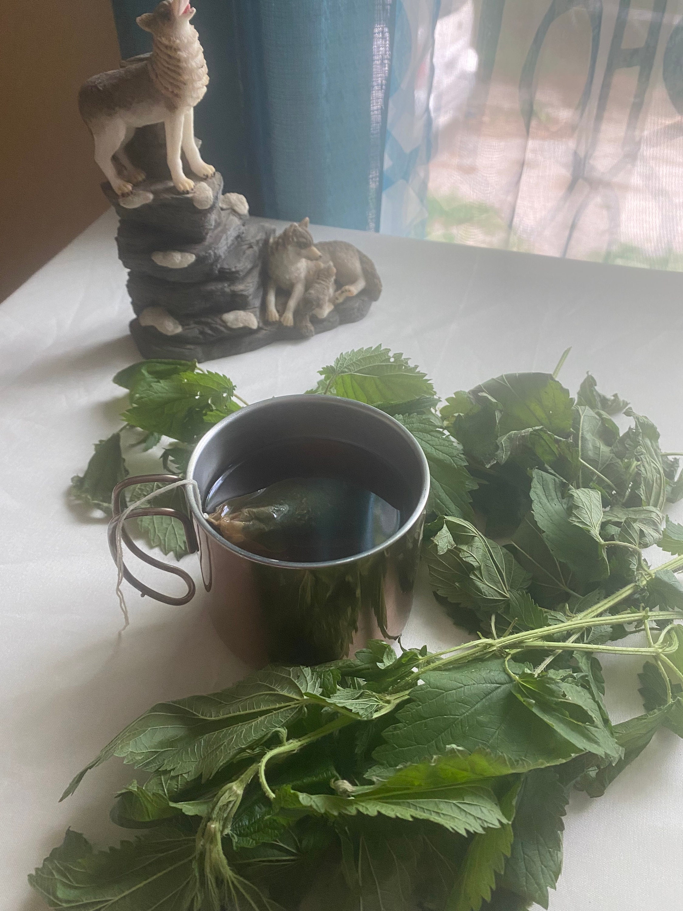Nettles Tea Leaves/homegrown/tea/health/natural - Etsy