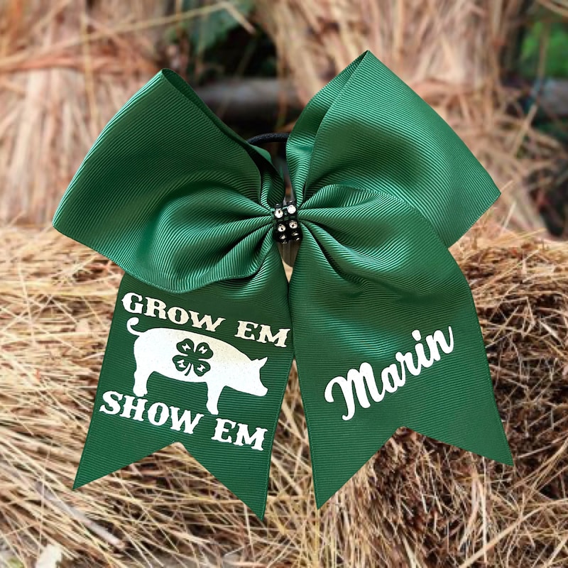 4h Pig Show Accessories - Etsy