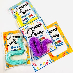 End of Year Gift, End of School Class Gifts for Students/strechy String ...