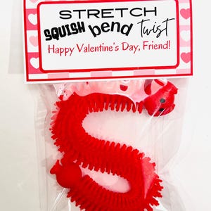 Valentine Stretchy Fidget Favors| Class Valentine’s Day Gifts - Etsy