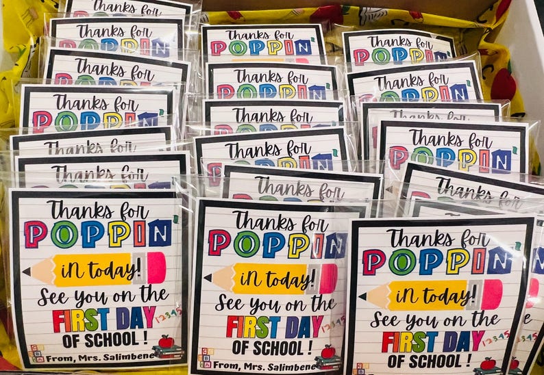 Back to School Student Gifts| Mini Pop It Keychain Gift |teacher ...