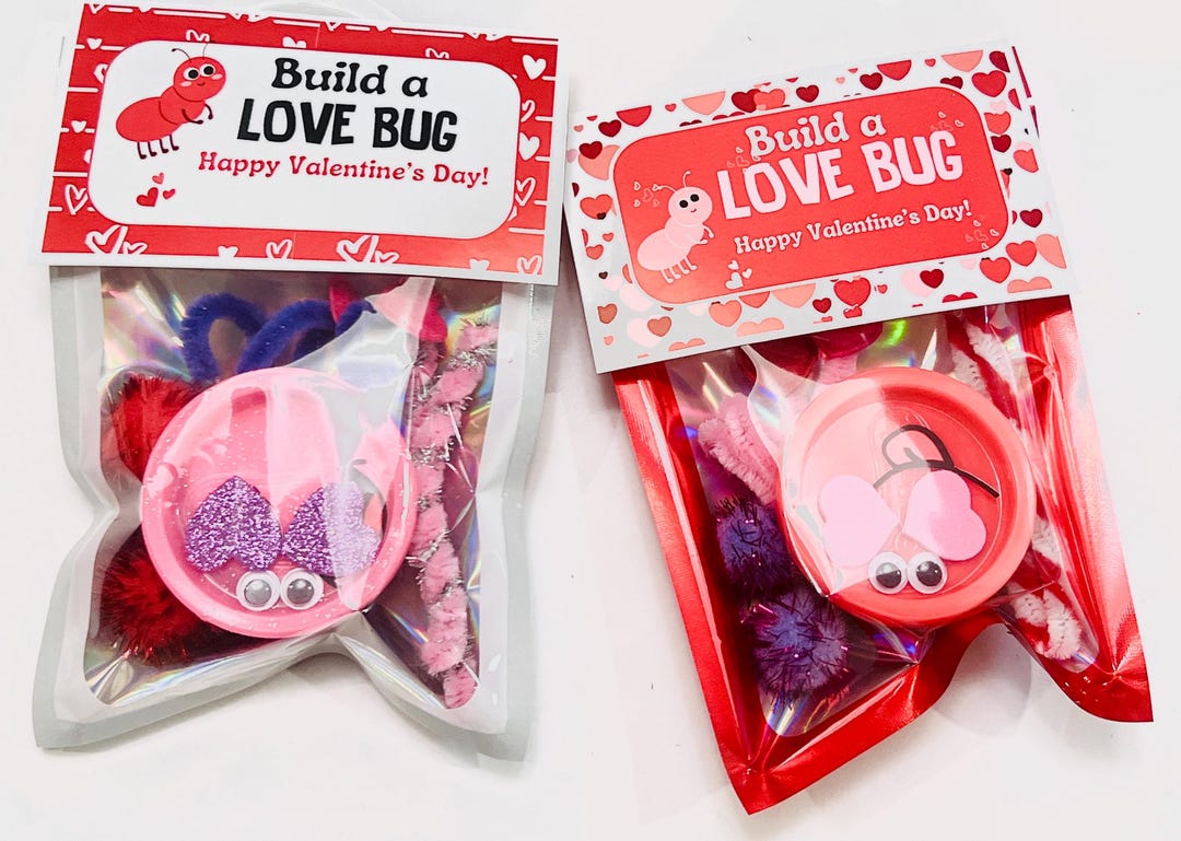 Build A Love Bug| Valentine Favors - Etsy