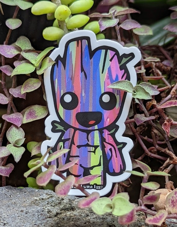 Rainbow Eucalyptus Groot | Etsy