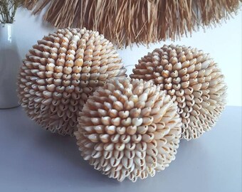 Seashell Balls - Etsy