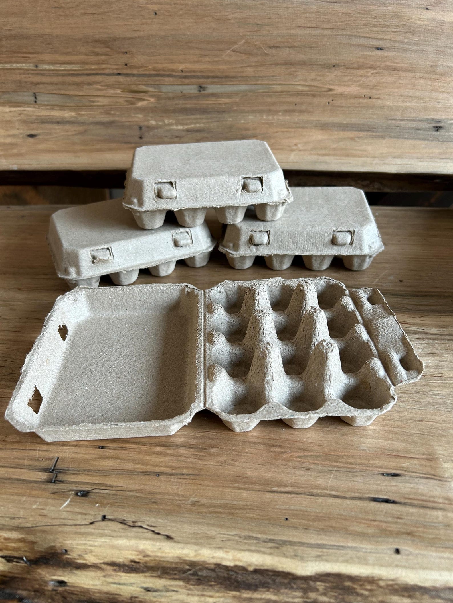 Compostable Quail Egg Cartons - Etsy