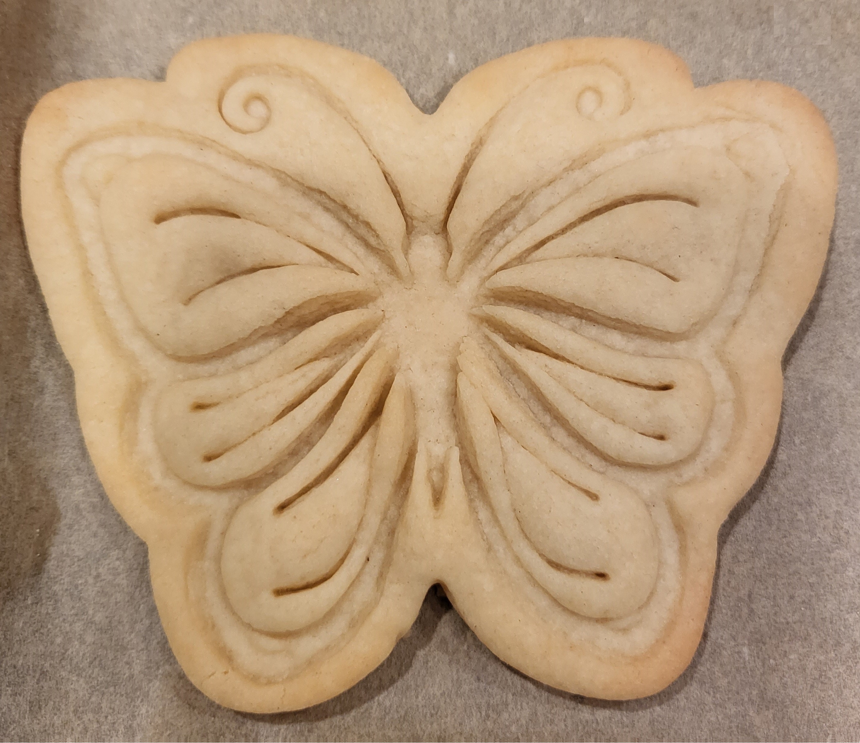 Butterfly Cookie Cutters, Two Designs in One - Etsy