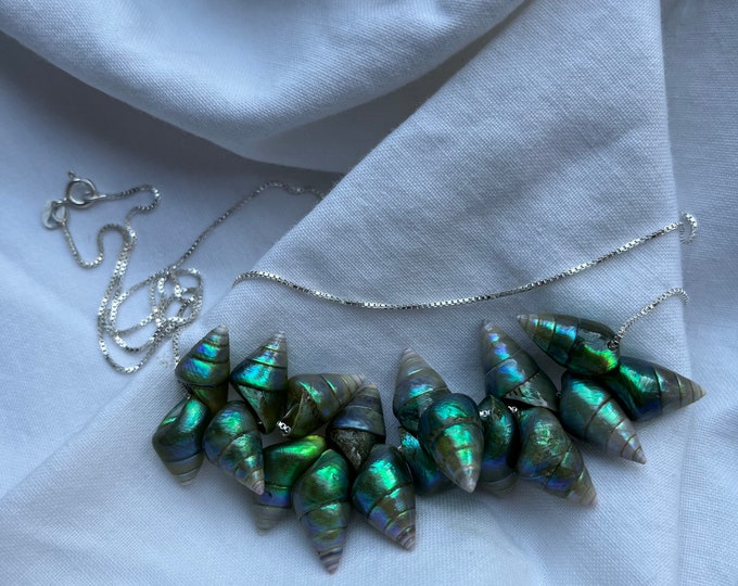 RARE Vintage Tasmanian Aboriginal Maireener Shell Necklace, Iridescent ...