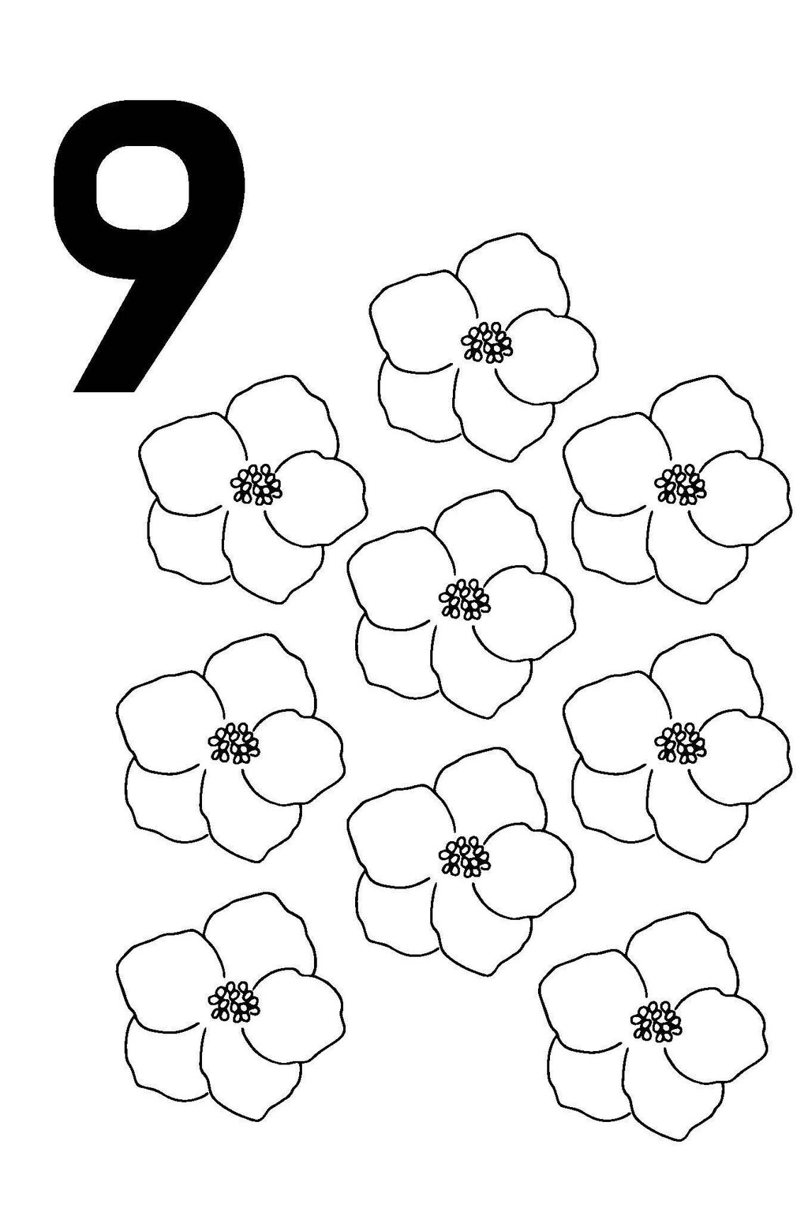 Lesson Plan Number 1-10 Count and Color - Etsy