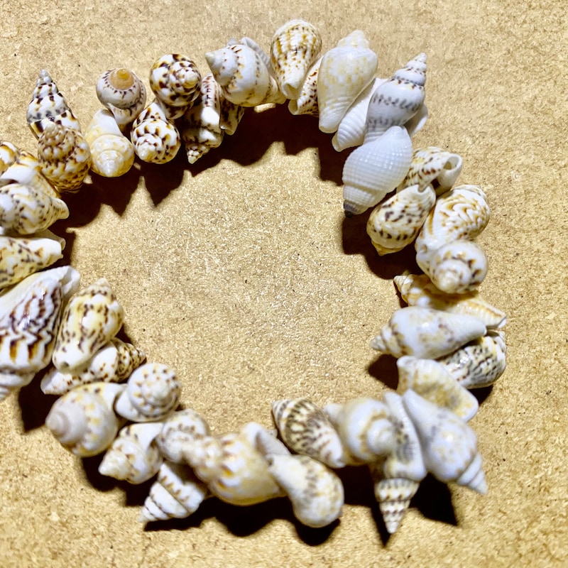Seashell Bracelet - Etsy