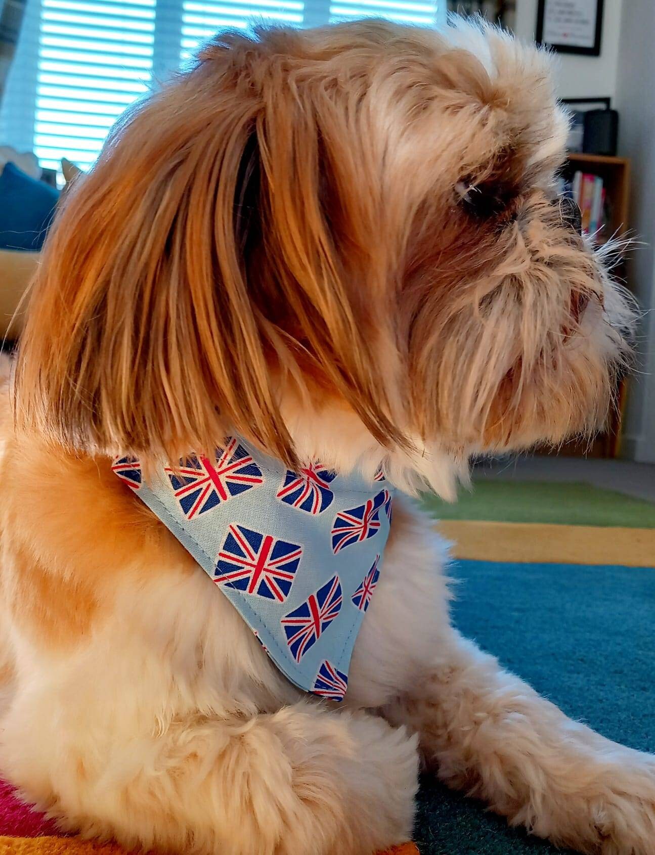 Union Jack Dog Sweater