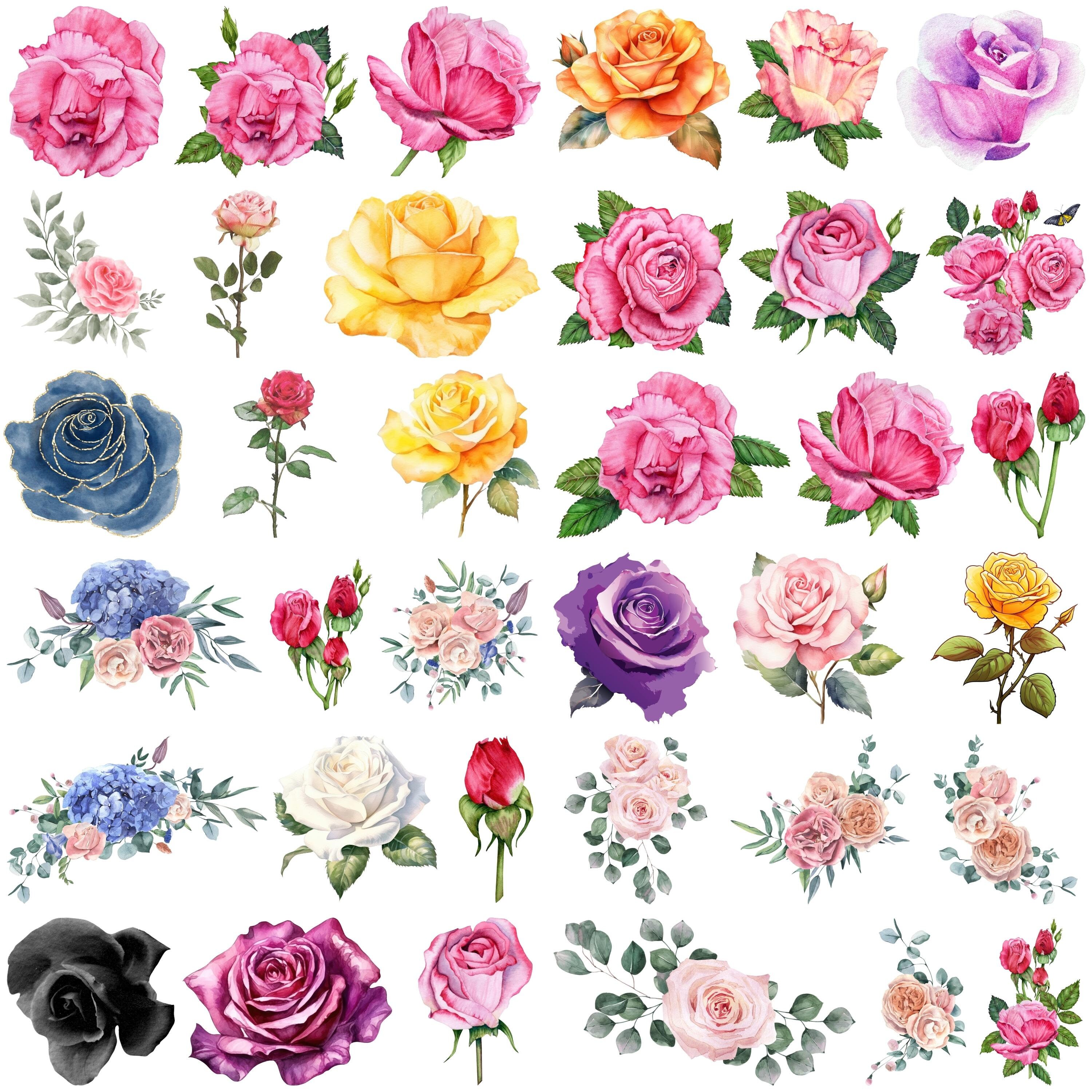 Watercolour Rose Clipart Watercolour Flowers Clipart - Etsy