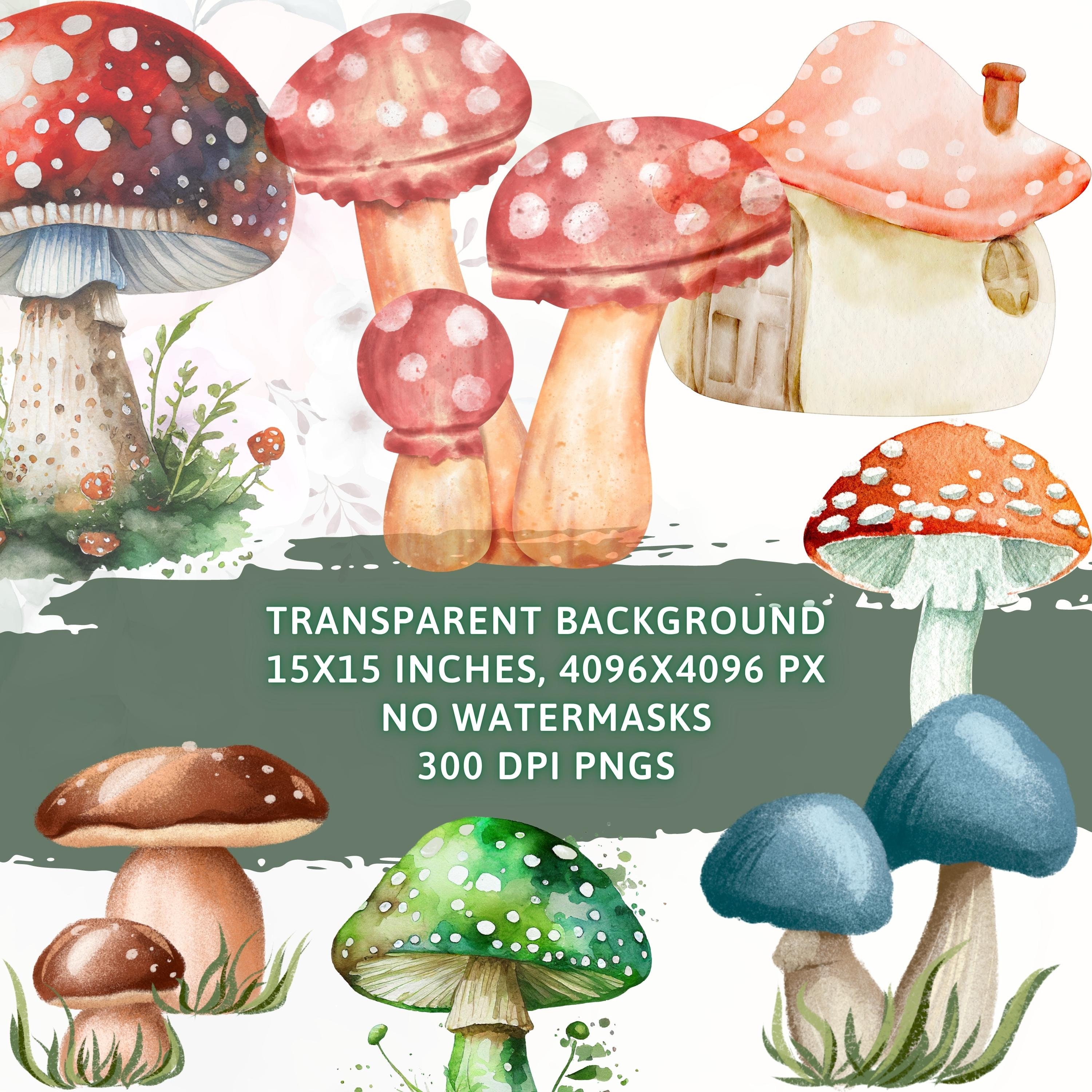 180 Mega Bundle, Mushroom Watercolor Clipart, Watercolor Forest Art ...