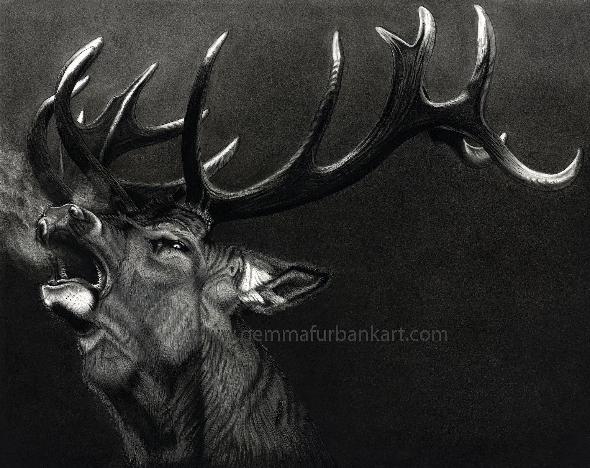 Stag Drawing, Stag Artwork, Deer Artwork, Stag Print, Deer Print ...