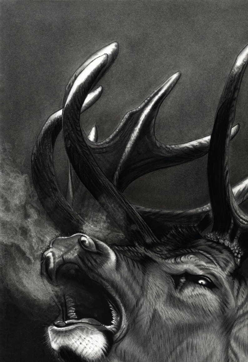 Stag Drawing, Stag Artwork, Deer Artwork, Stag Print, Deer Print ...