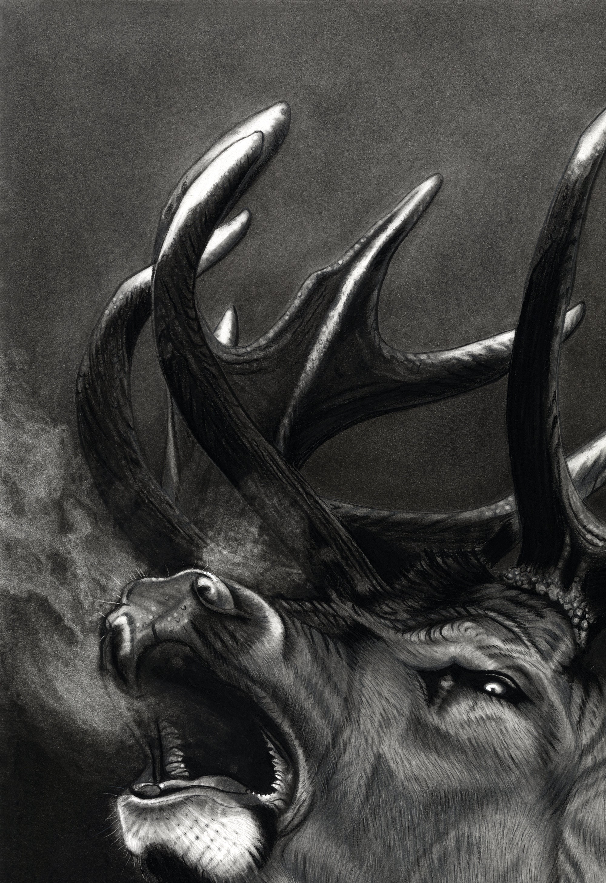 Stag Drawing, Stag Artwork, Deer Artwork, Stag Print, Deer Print ...