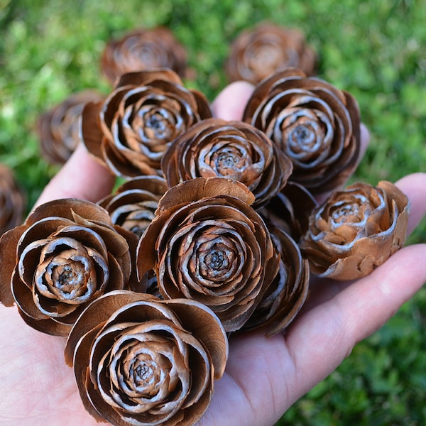 Pinecone Flowers - Etsy
