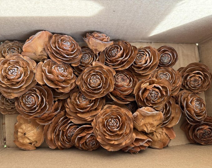 12 Rustic & Natural Deodar Cedar Roses Large Medium Small Sizes for DIY ...