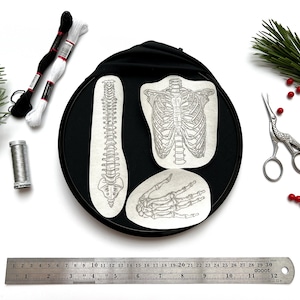 Stick & Stitch "human Anatomy" Embroidery Design, Transfer Patches ...